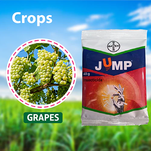Buy Jump Insecticide - Buy Online | Pest Control