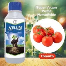 Buy Velum Prime Nematicide - Buy Online | Nematode Control