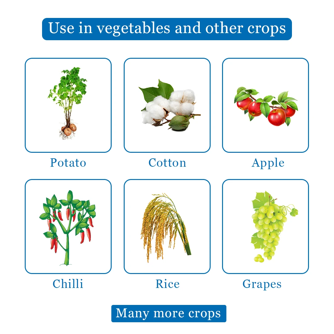 Buy Antracol Fungicide|Propineb
