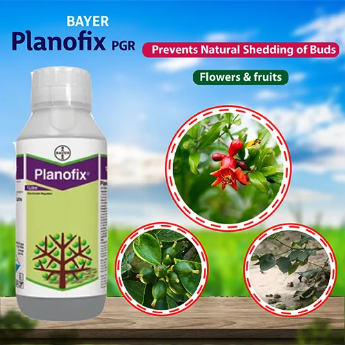Buy Bayer Planofix | Root Growth