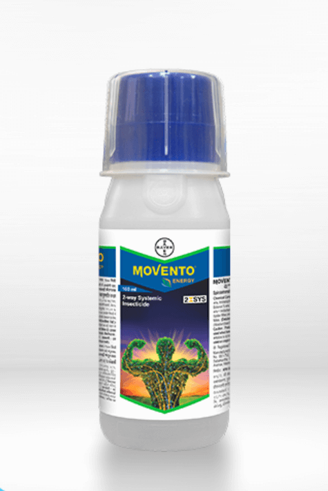 Buy Movento Energy Insecticide | Spirotetramat & Imidacloprid