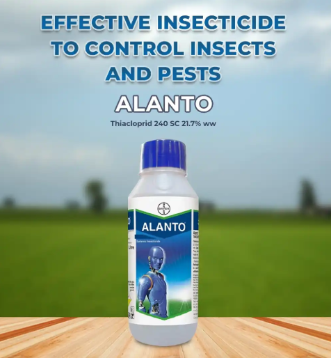 Bayer Alanto Insecticide | Pest Control
