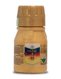 Buy Bayer Fame Insecticide | Pest Control