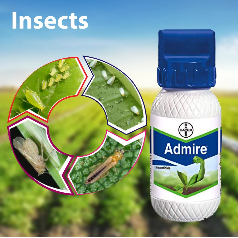 Buy Bayer Admire Insecticide | Pest Control