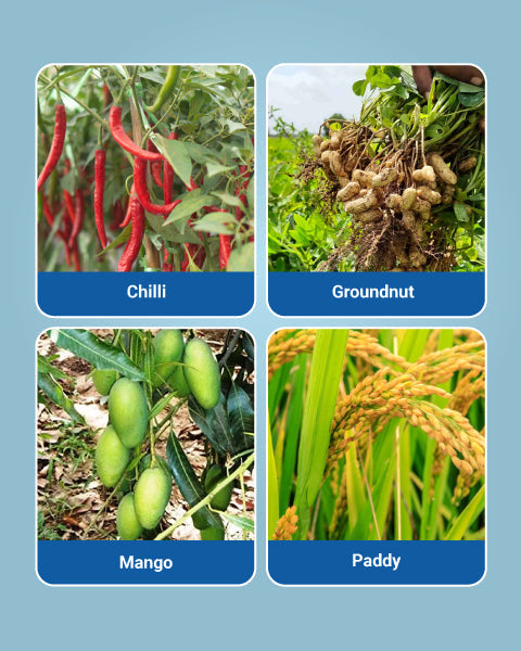 Saaf – Dual Action Protection Against Fungal Diseases