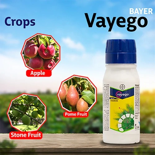 Buy Vayego Insecticide - Buy Online | Pest Control