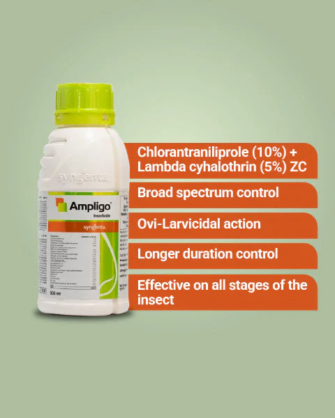 Buy Ampligo Insecticide - Buy Online