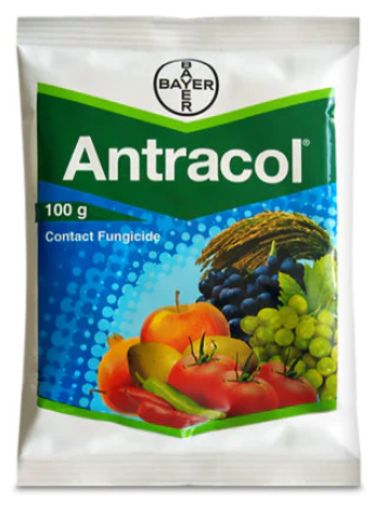 Buy Antracol Fungicide|Propineb
