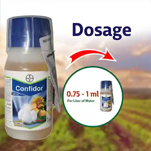 Buy Bayer Confidor Insecticide|Pest Control