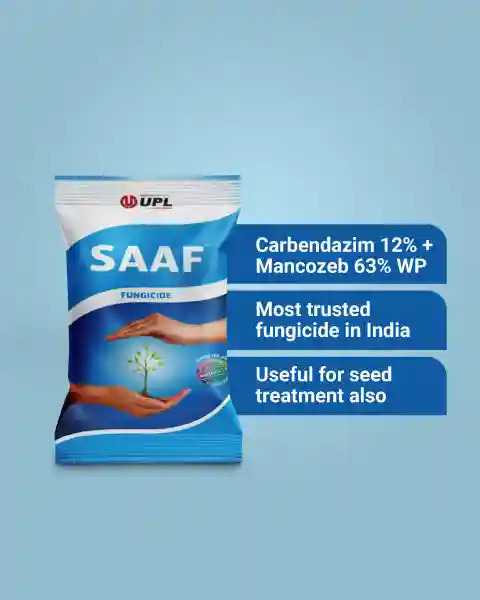 Saaf – Dual Action Protection Against Fungal Diseases