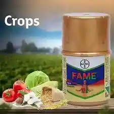 Buy Bayer Fame Insecticide | Pest Control