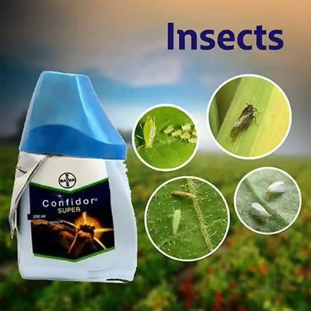 Buy Bayer Confidor Insecticide | Pest Control