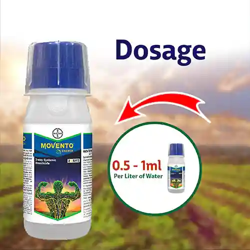 Buy Movento Energy Insecticide | Spirotetramat & Imidacloprid