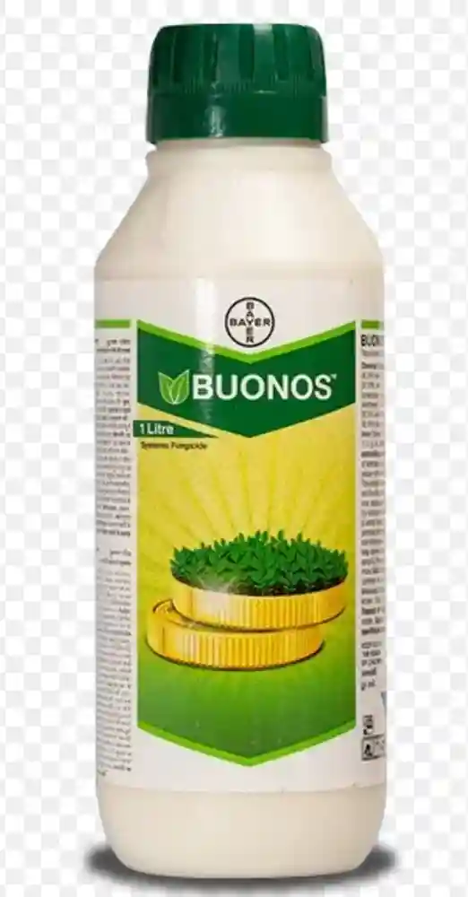Buy TATA Blitox 500 gm Fungicide – Copper-Based Protection for Crops