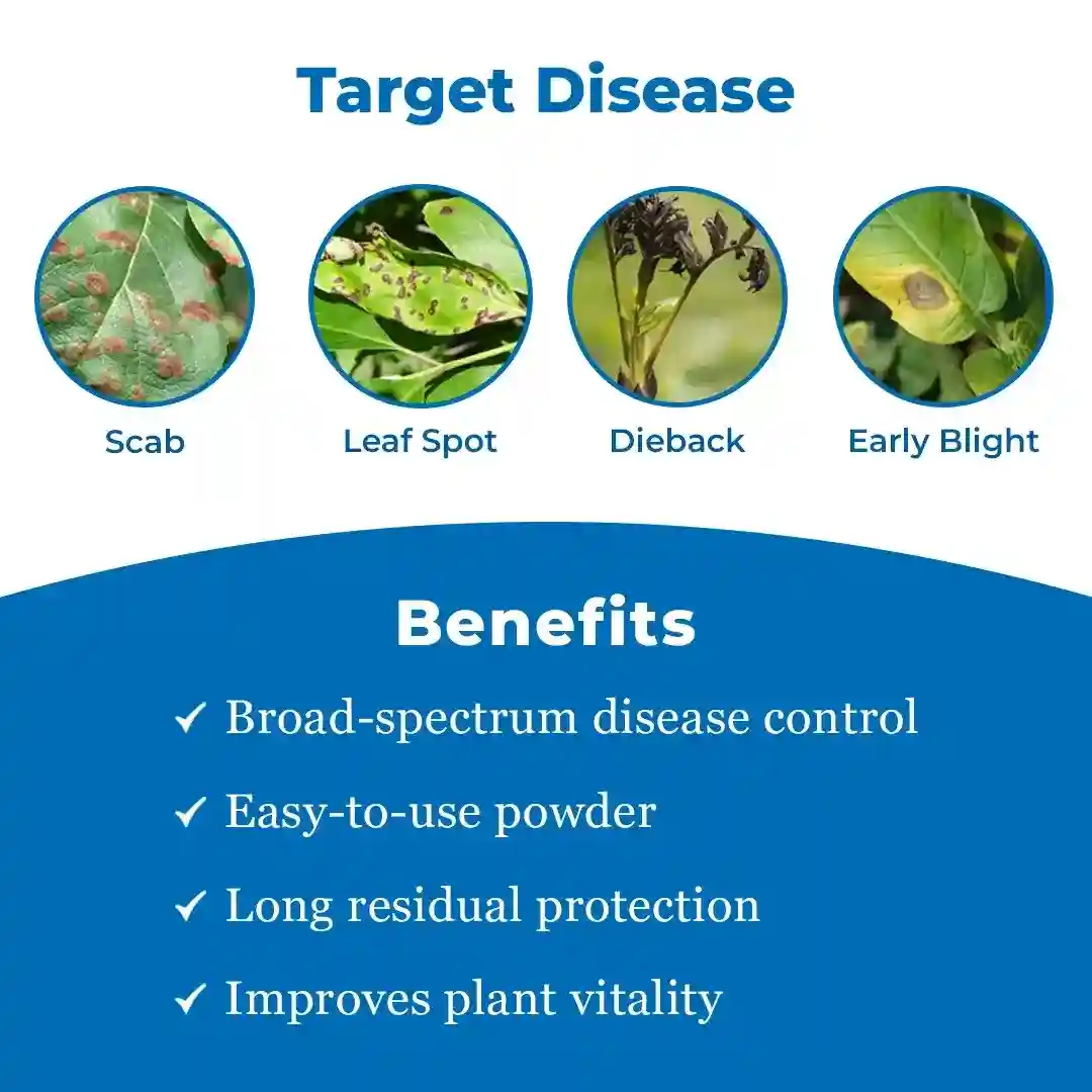 Buy Antracol Fungicide|Propineb