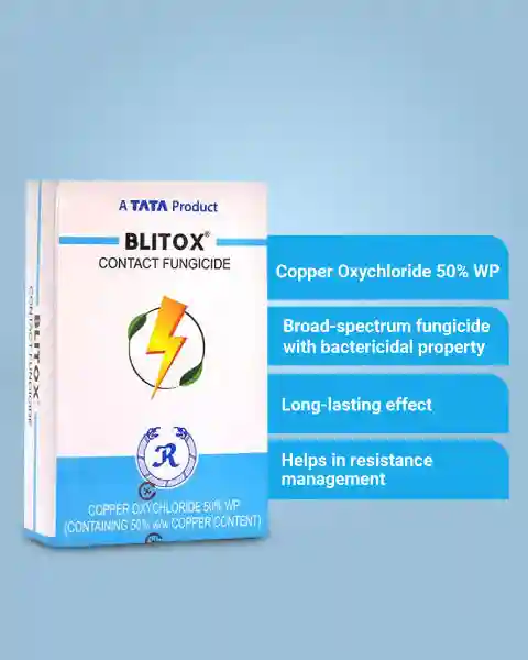 Buy TATA Blitox 500 gm Fungicide – Copper-Based Protection for Crops