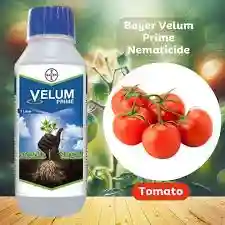 Buy Velum Prime Nematicide - Buy Online | Nematode Control