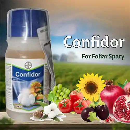 Buy Bayer Confidor Insecticide|Pest Control