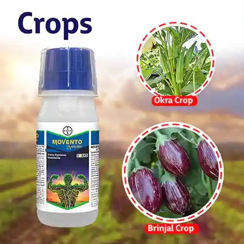 Buy Bayer Movento Insecticide | Pest Control
